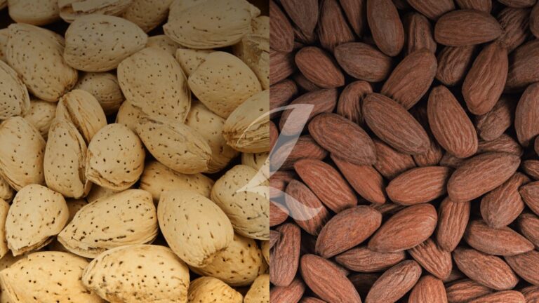 Proveedores de almendra - Almendras López